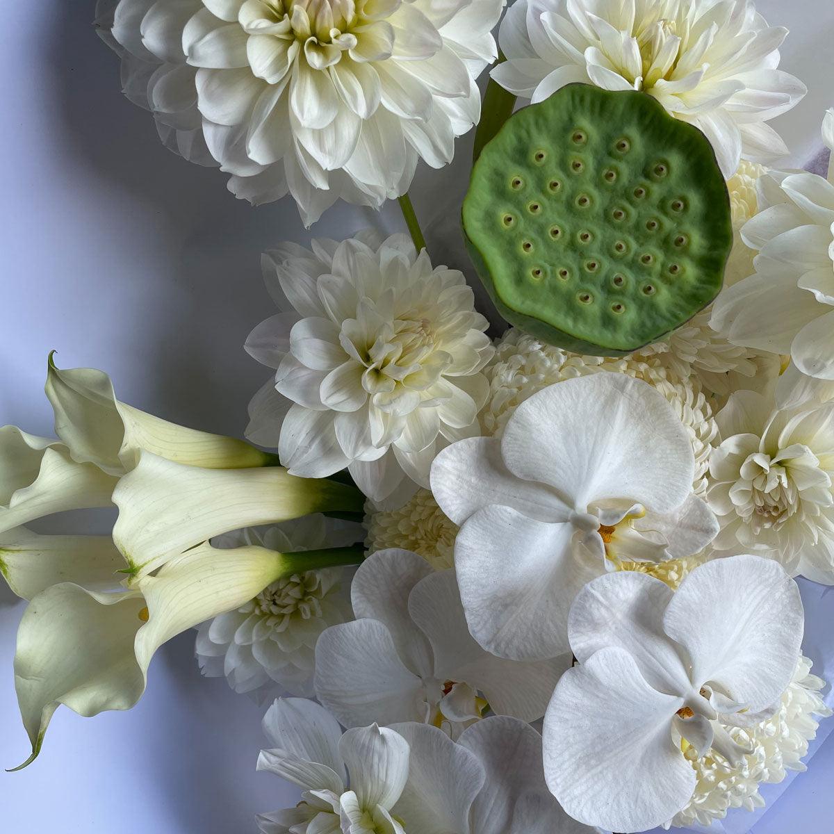 Classic White – Redbud